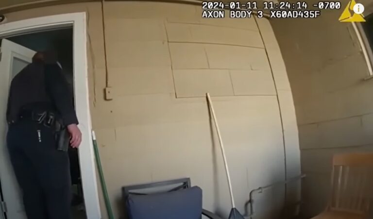 The Peril and Promise of Well-Being Checks | National Police Association